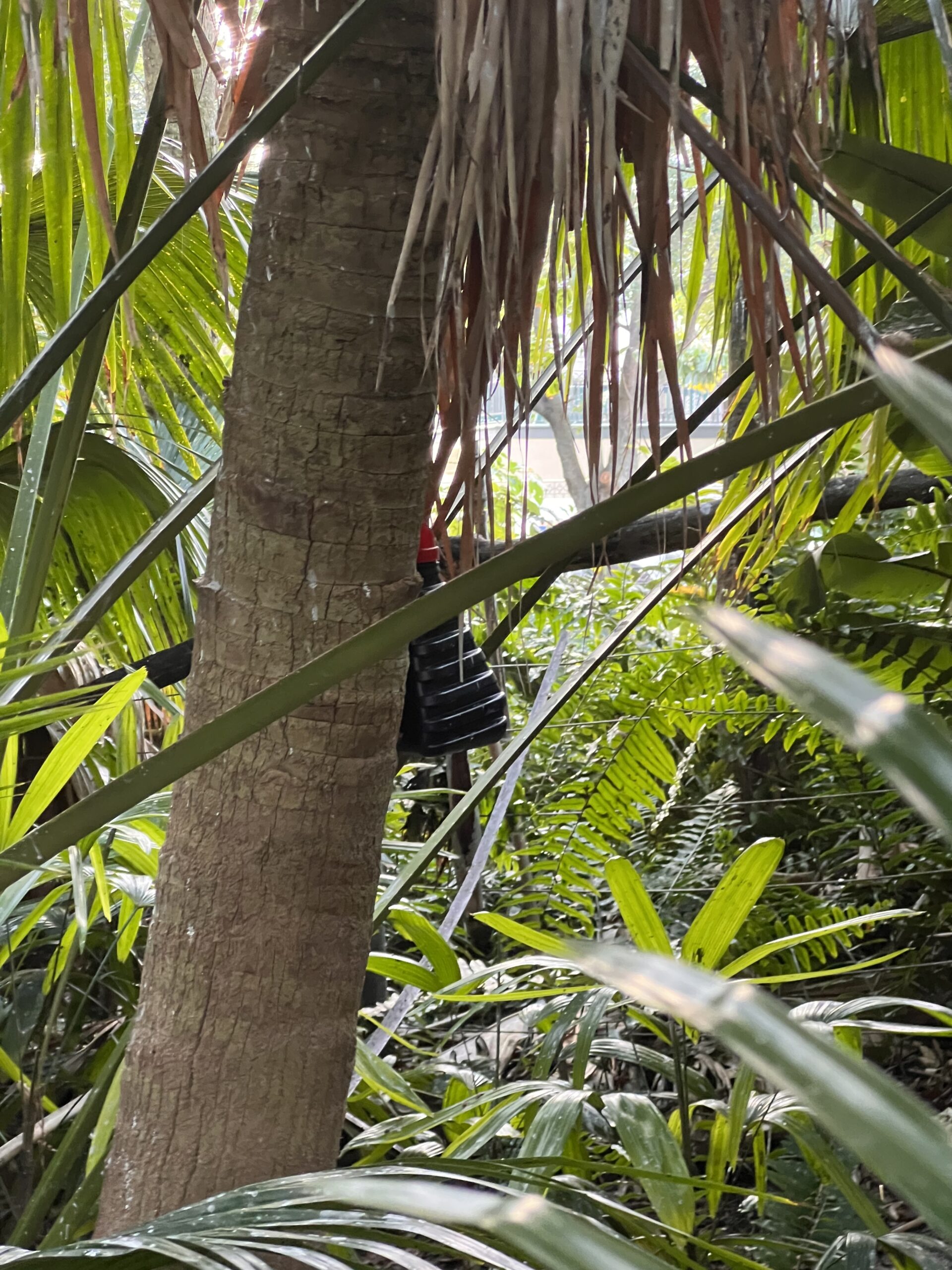 Florida Resort utilizes INZECTO Mosquito Traps as their Eco-friendly ...