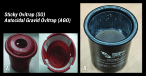The Evolution of Lethal Ovitraps for Mosquito Control: A Breakthrough ...